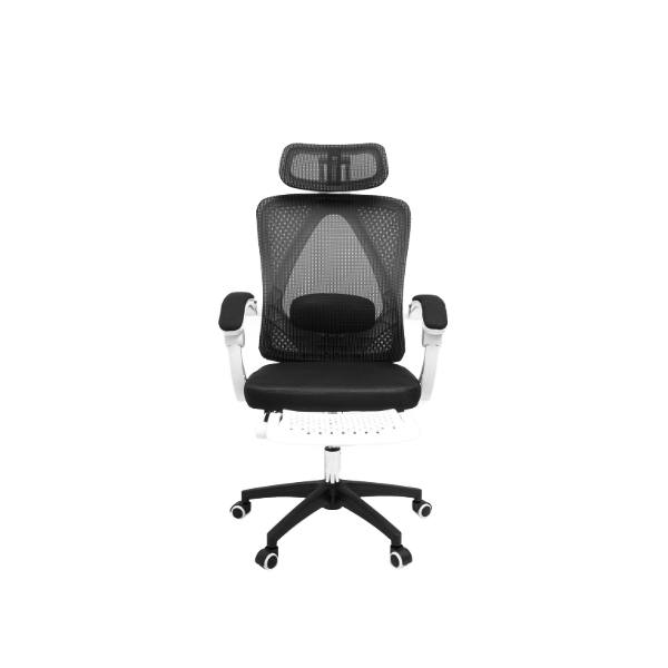 Buy Manager Chairs in Pakistan – Ergonomic & Luxury Office Chairs | Lunar – Lunar Furniture