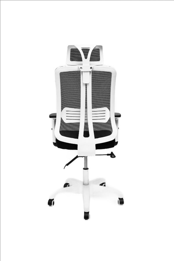 Buy Manager Chairs in Pakistan – Ergonomic & Luxury Office Chairs ...
